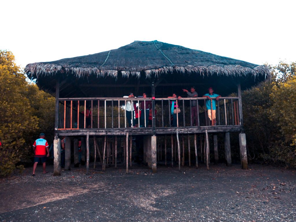 Bird Watching in Pampanga's Bangkong Malapad Island — Two Budget ...